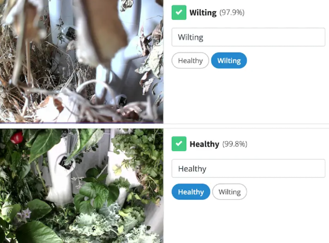 Nyckel Classification API | PitchWall